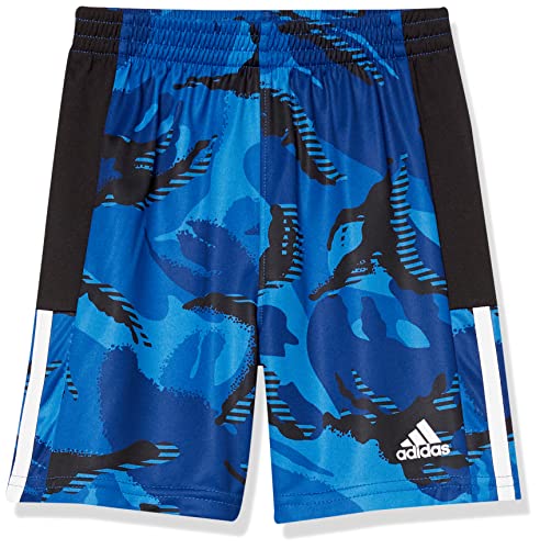 adidas boys Action Camo Shorts, Brite Blu, 2-4T US