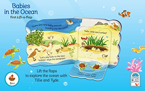 Babies in the Ocean- A First Lift-a-Flap Board Book for Babies and Toddlers (Babies Love)