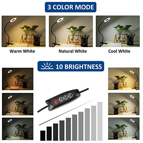 Akynite 48 LED Clip on Desk Light for Home Office, 3 Colors & 10 Brightness, 7W USB LED Ring Light Desk Clamp for Makeup, Gooseneck Desk Clip Lamp, Dimmable Clip on Bed Light for Reading, Black