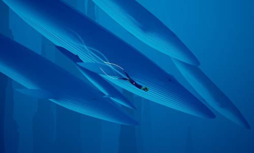 ABZÛ - PlayStation 4