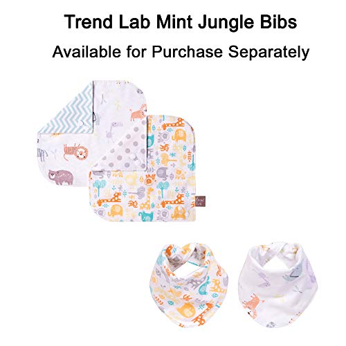 Mint Jungle 4 Pack Flannel Blankets - 4 Deluxe Flannel Blankets, Chevron, Crayon Jungle, Dot, Lullaby Zoo Print, Mint, Yellow, Gray, Orange, 30 in x 30 in