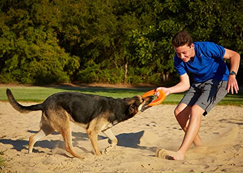 Chuckit Rugged Flyer Dog Toy, Medium, Assorted Colors