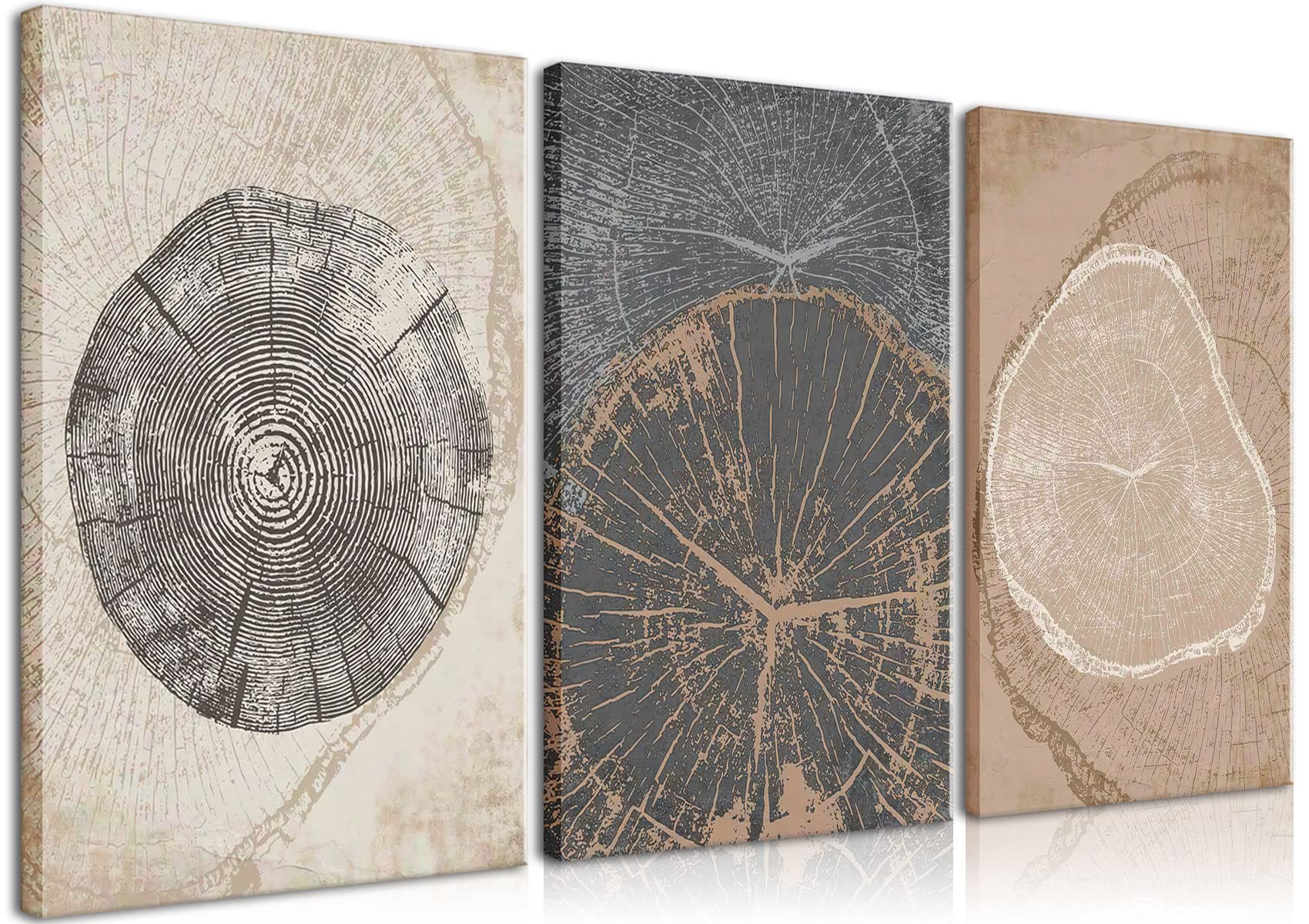 AKWISH 3Pcs Framed Tree Ring Canvas Wall Art Print Pastel Gray Wood Spirals Picture Nature Abstract Drawings Poster Modern Minimalist Wall Decor for Living Room Bedroom Home Office 16"x24"x3