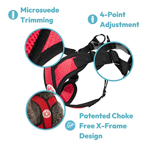Gooby Comfort X Step in Harness - Black, X-Large - No Pull Small Dog Harness Patented Choke-Free X Frame - Perfect on The Go Dog Harness for Medium Dogs No Pull or Small Dogs