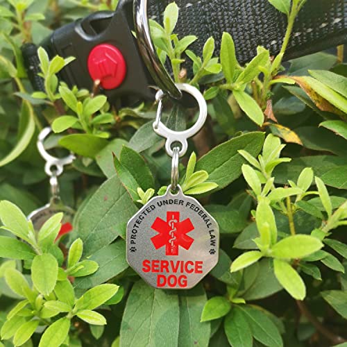CIREGE Double Sided Service Dog Tag with Red Medical Alert Dog Identification, Service Dog Medallion, Stainless Steel, Stone Polishing Process, Durable, Psychiatric Service Dog Patch with Clip