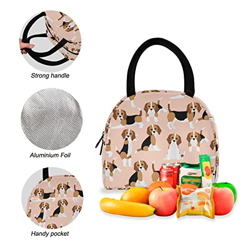 CHIFIGNO Beagle Dogs Kids Backpack Elementary Girls Boys Book Bag Casual Daypack Primary School Bag Backpack Set with Insulated Lunch Bag