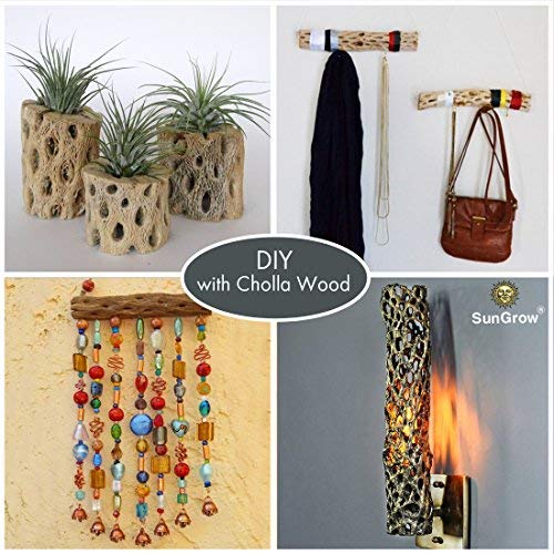 SunGrow Cholla Wood for Betta Fish, 5-Inches Long, Encourage Exercise, Create Basking Spot for Tropical Fish, Creative Addition to Home Crafts, Great Accent Piece, 3-Pcs