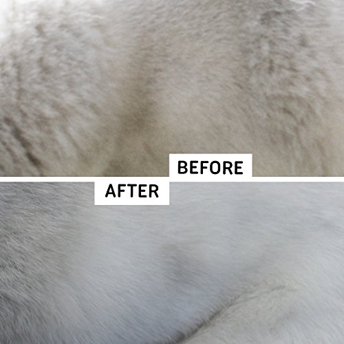 GoPets Professional Slicker Brush for Dogs and Cats Self-Cleaning Grooming Comb for Dematting Detangling & Deshedding