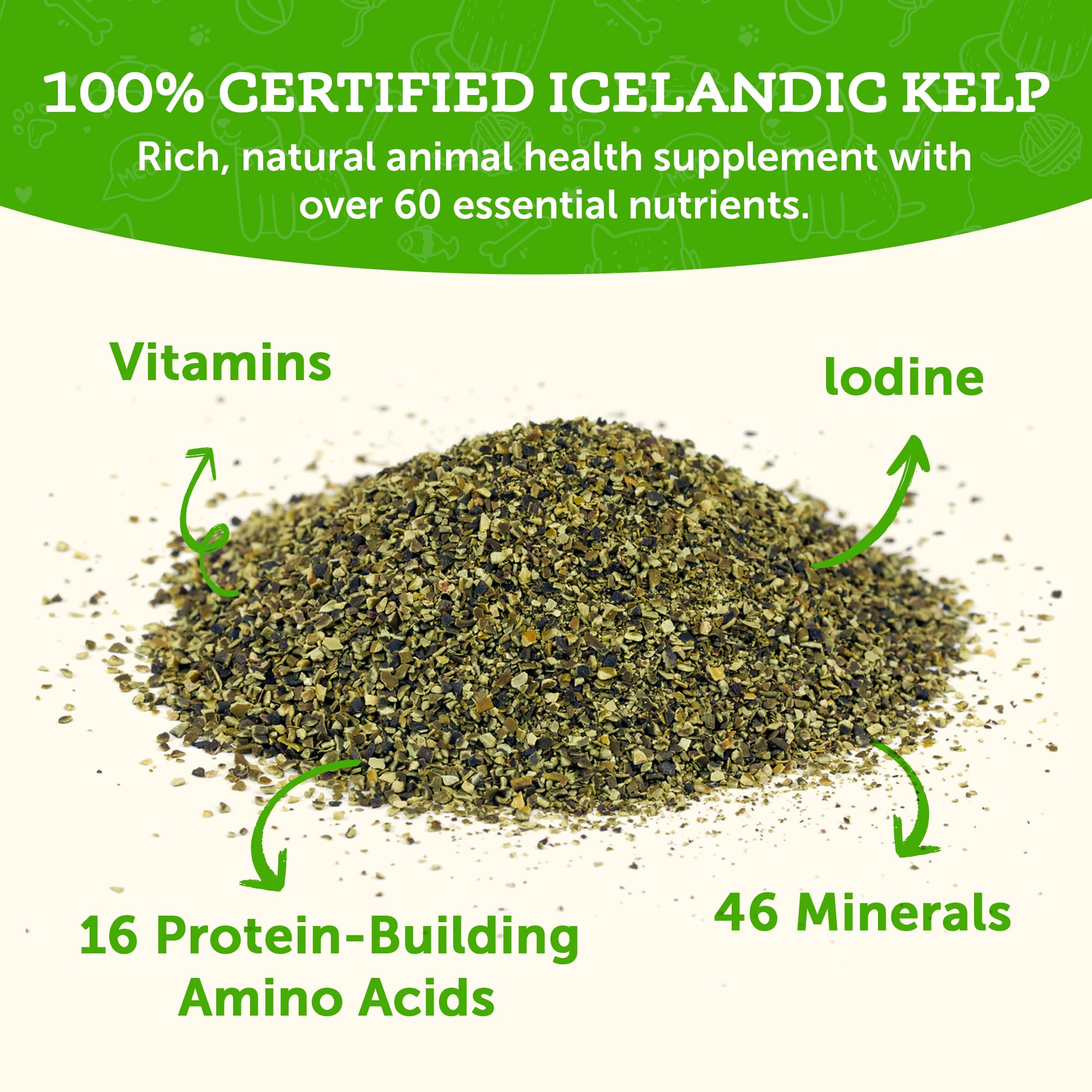 Animal Essentials Ocean Kelp for Dogs & Cats - Thyroid Support, Thyroid Supplement, Sea Kelp, Kelp Powder, Trace Mineral Supplement - 24 Oz