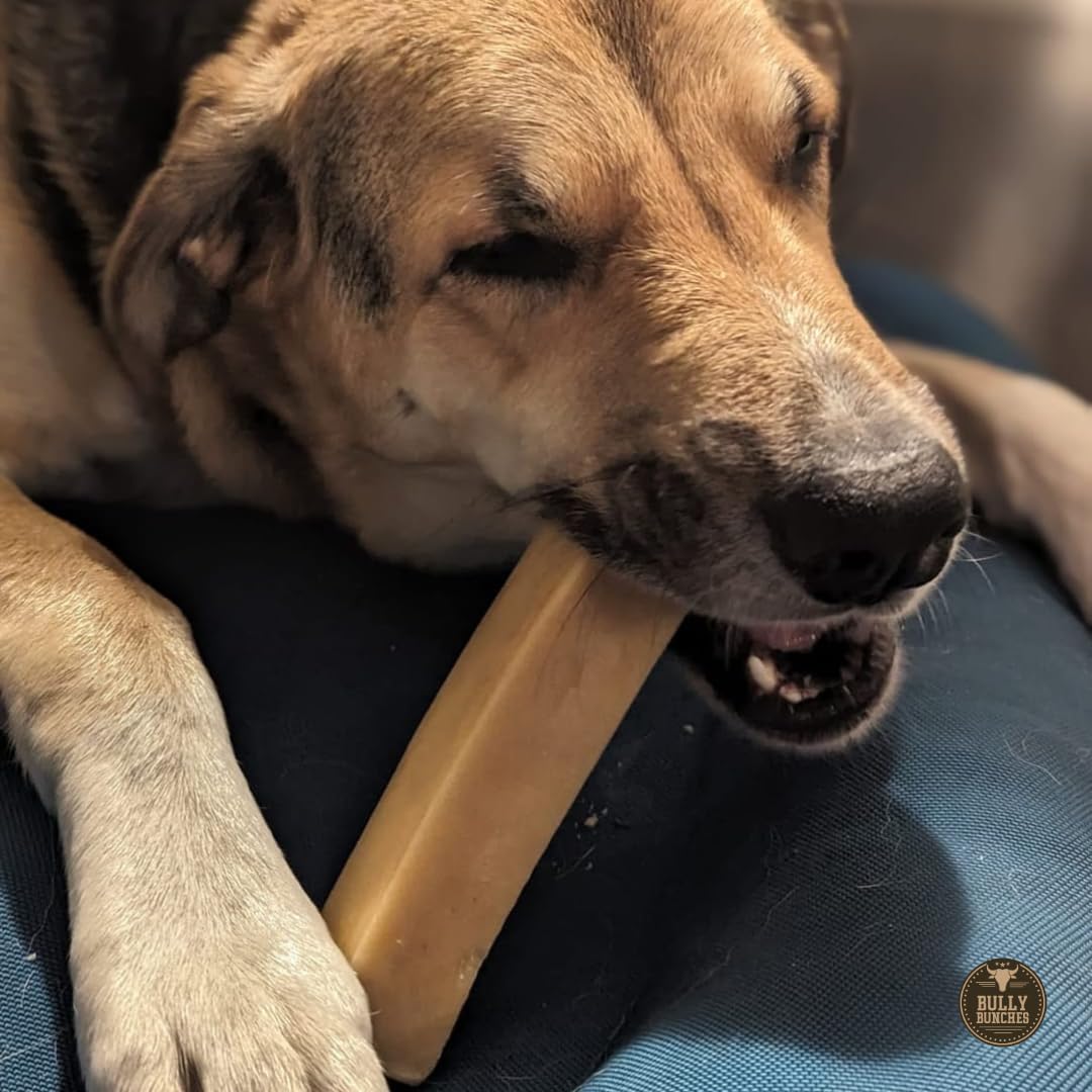 Bully Bunches Mega Authentic Yak Cheese Himalayan Chews for Giant Dogs & Super Aggressive Chewers - All Natural Dog Treat Dental Chews, Made with Real Yak Milk - Lactose & Rawhide Free (2 PK)