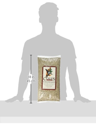 Cole's SM05 Sunflower Meat Bird Seed, 5-Pound