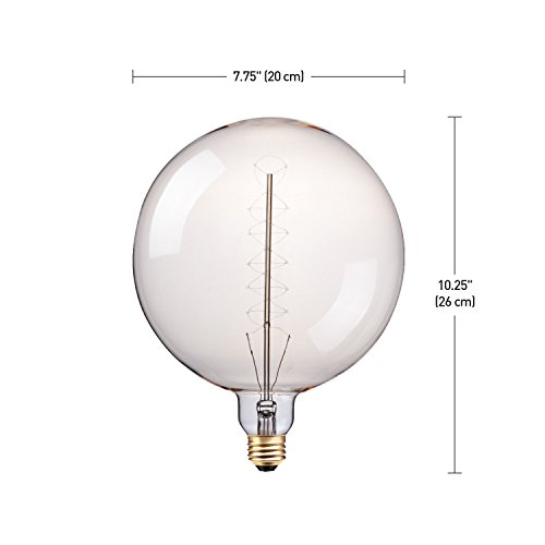 Globe Electric Oversized Round Vintage 100W Clear Glass Dimmable Incandescent Light Bulb, E26 Base, 400 Lumens, 80128