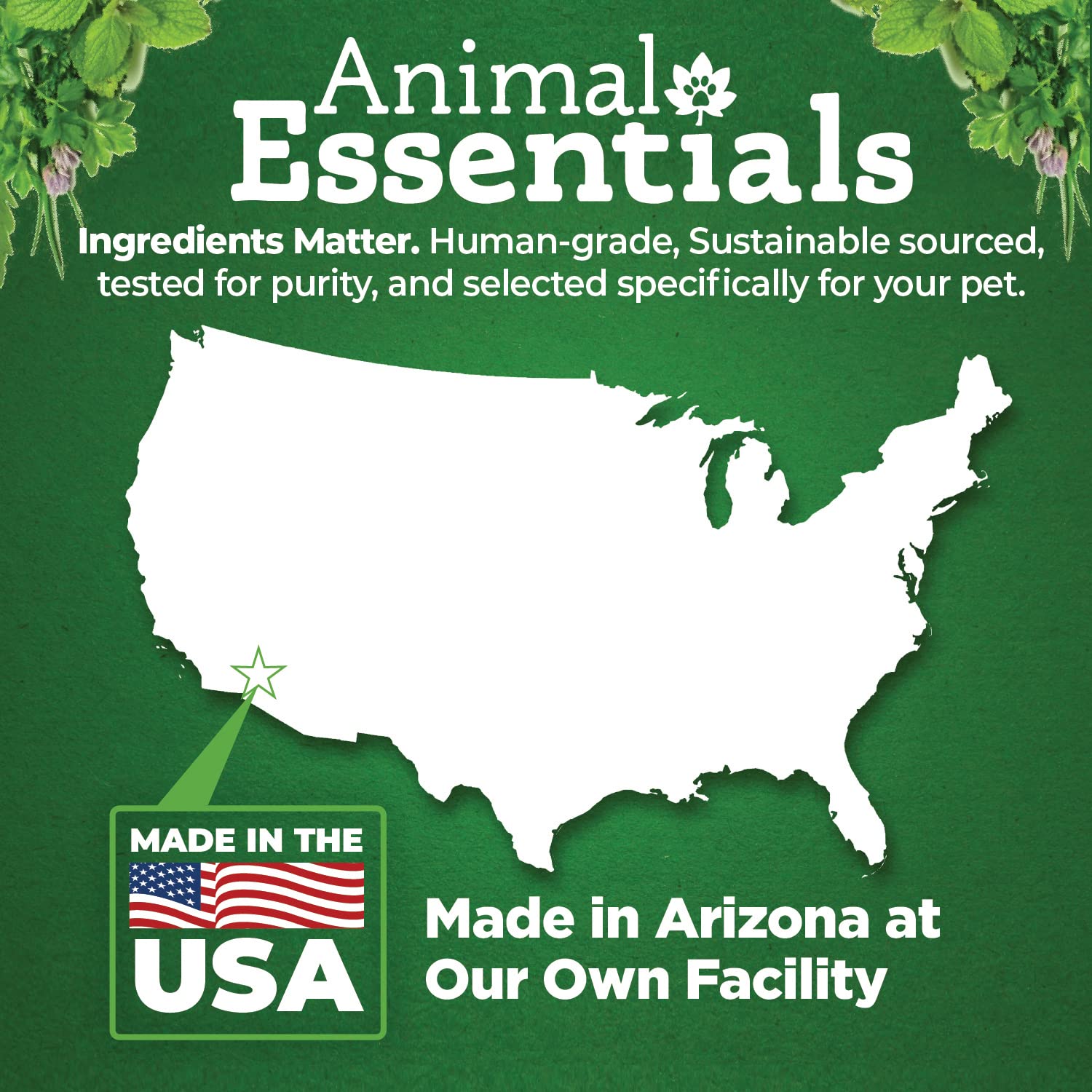 Animal Essentials Daily Digestion for Dogs & Cats - Digestive Support, Fresh Breath, Ginger Root, Fennel Seed Extract, Liquid Supplement - 2 Fl Oz