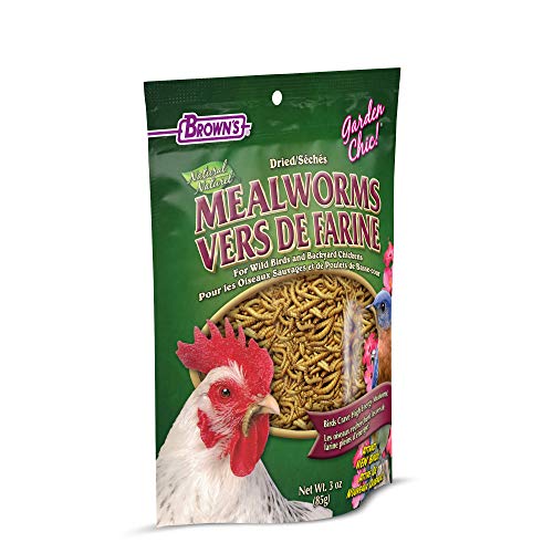F.M. Brown's Garden Chic. Dried Mealworms for Wild Birds and Chickens - 3oz