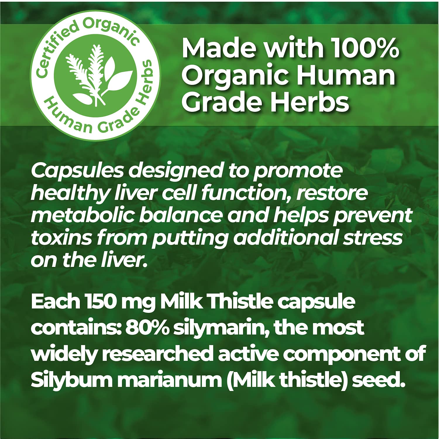 Animal Essentials Milk Thistle Liver Support for Dogs and Cats, 30 Capsules - Made in USA Liver Supplement
