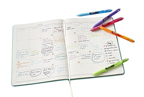 Paper Mate Inkjoy Gel Retractable Gel Ink Pens, Pack of 10 (Purple, Medium Point)