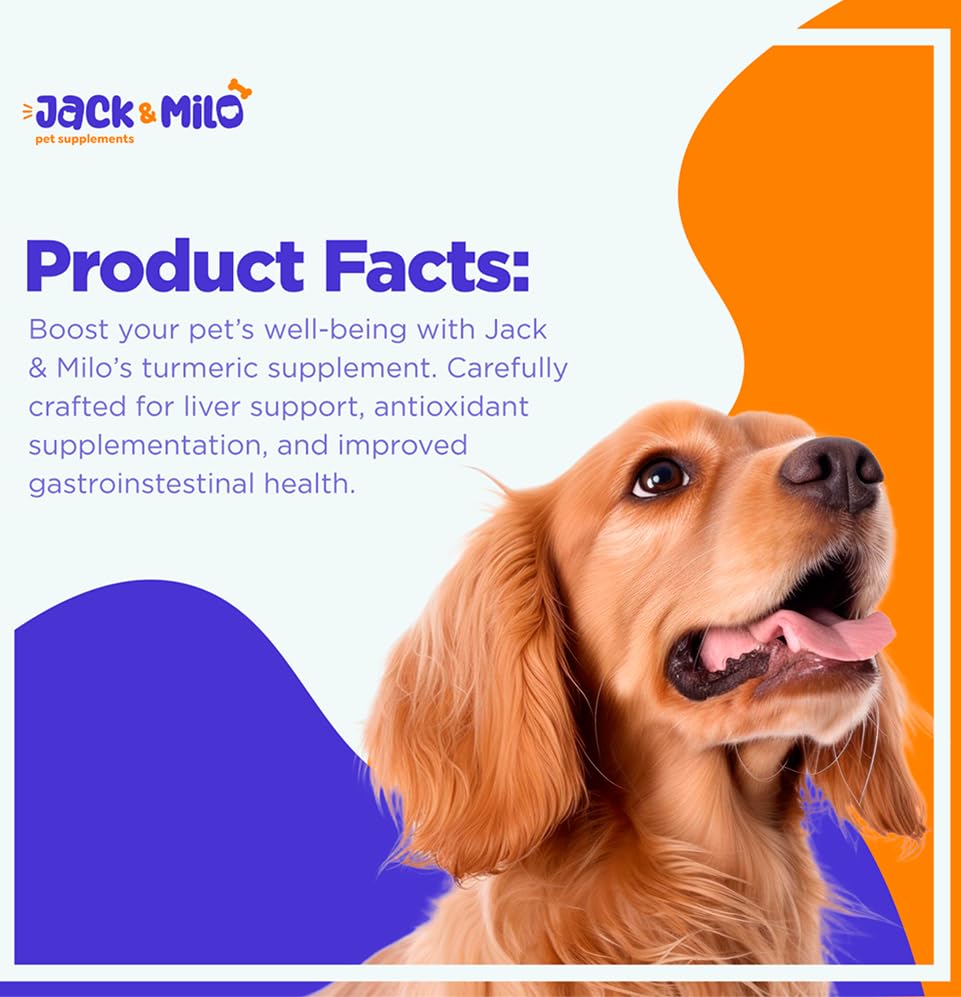 Supplement Anti Inflammatory for Dogs with Turmeric, Hip, and Joint - Dog Arthritis Pain Relief, Support for Mobility & Wellness, USA Made-GMP Certified, Non-GMO, 120 Tablets - Jack & Milo