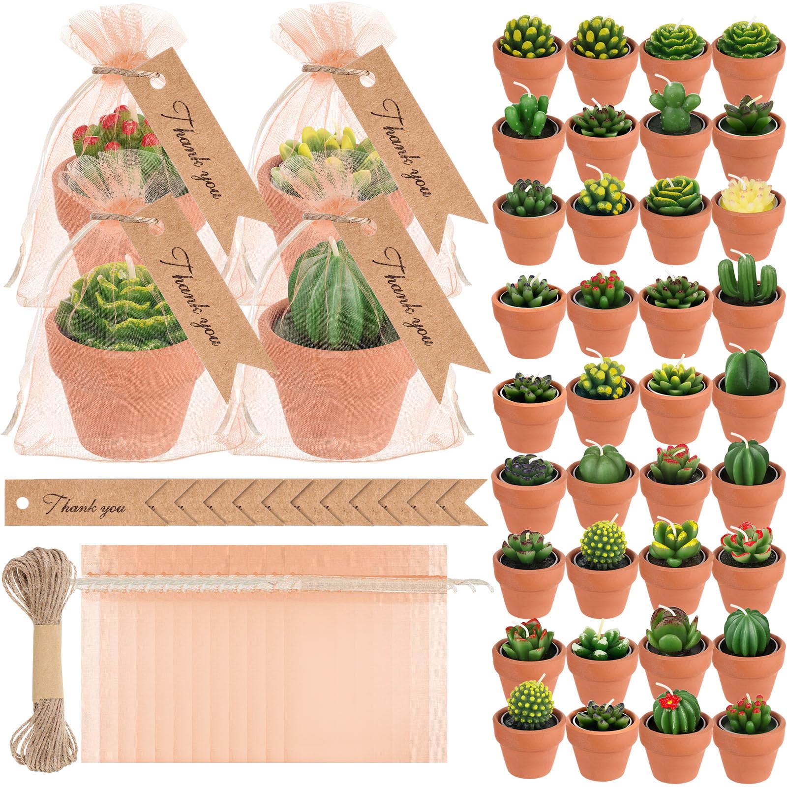 MTLEE 48 Pcs Succulent Cactus Candles Set Mini Tealight Candles Baby Shower Cactus Decorations Plant Candle with Mini Terracotta Clay Gift Tags Organza Bags for Birthday Wedding Party Favors