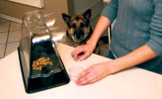 Felines Only - the Purrrfect Cat Dish - Veterinarian Designed Cat Feeding Bowl that Keeps Dogs Out of the Cat Food