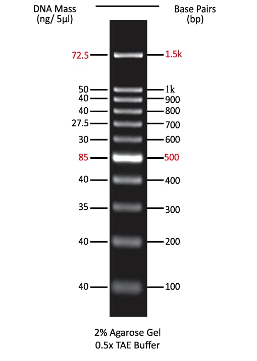 Azura PureView 100 bp DNA Ladder 100 Lanes 500µl