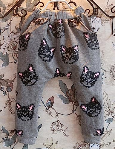 puseky Toddler Kids Girls Cute Cat Sweatshirt Tops & Pants Tracksuit Outfits Set (3T-4T, Grey)