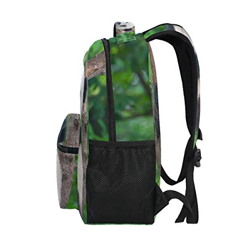 ALAZA Cute Panda On The Tree Stylish Large Backpack Personalized Laptop iPad Tablet Travel School Bag with Multiple Pockets for Men Women College