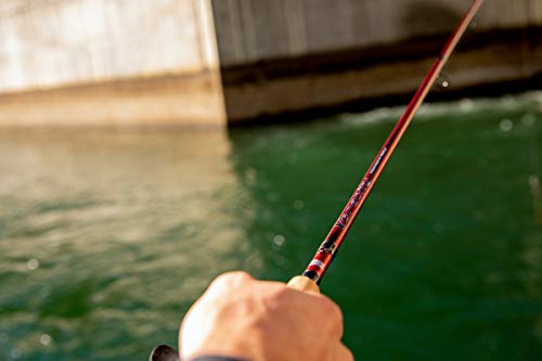Abu Garcia Veracity Spinning Fishing Rod - VRCTYS66-5, Red, 6'6" - Medium
