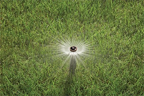 Rain Bird 1806VAN 5-Pack - 6" Pop-up Professional Sprinkler (9" Body Length!) - Adjustable Pattern (0 to 360 Degrees) ***Please Read BULLETPOINTS Before Ordering***