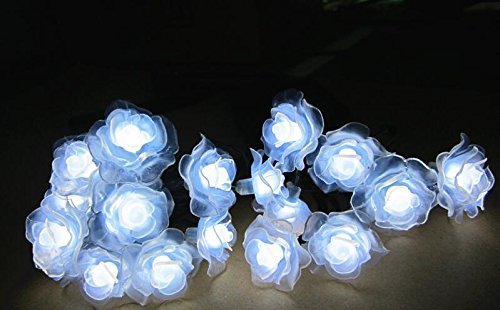chuangsheng Premium Quality Solar String Light, 20 LED Waterproof Rose Solar Fairy String Lights for Christmas Garden Patio Wedding Party Fence Window and Home Holiday Festival Decorations (White)