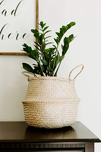 Thirteen Chefs Modern Village Large Woven Basket, 11 Inch Seagrass Belly Basket for Plants