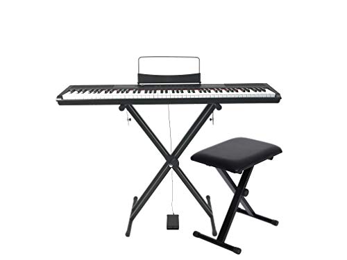 88-Key Portable Digital Piano/Keyboard for Beginners with Full Size Soft Touch Keys, Power Supply, Sustain & 2 Months.