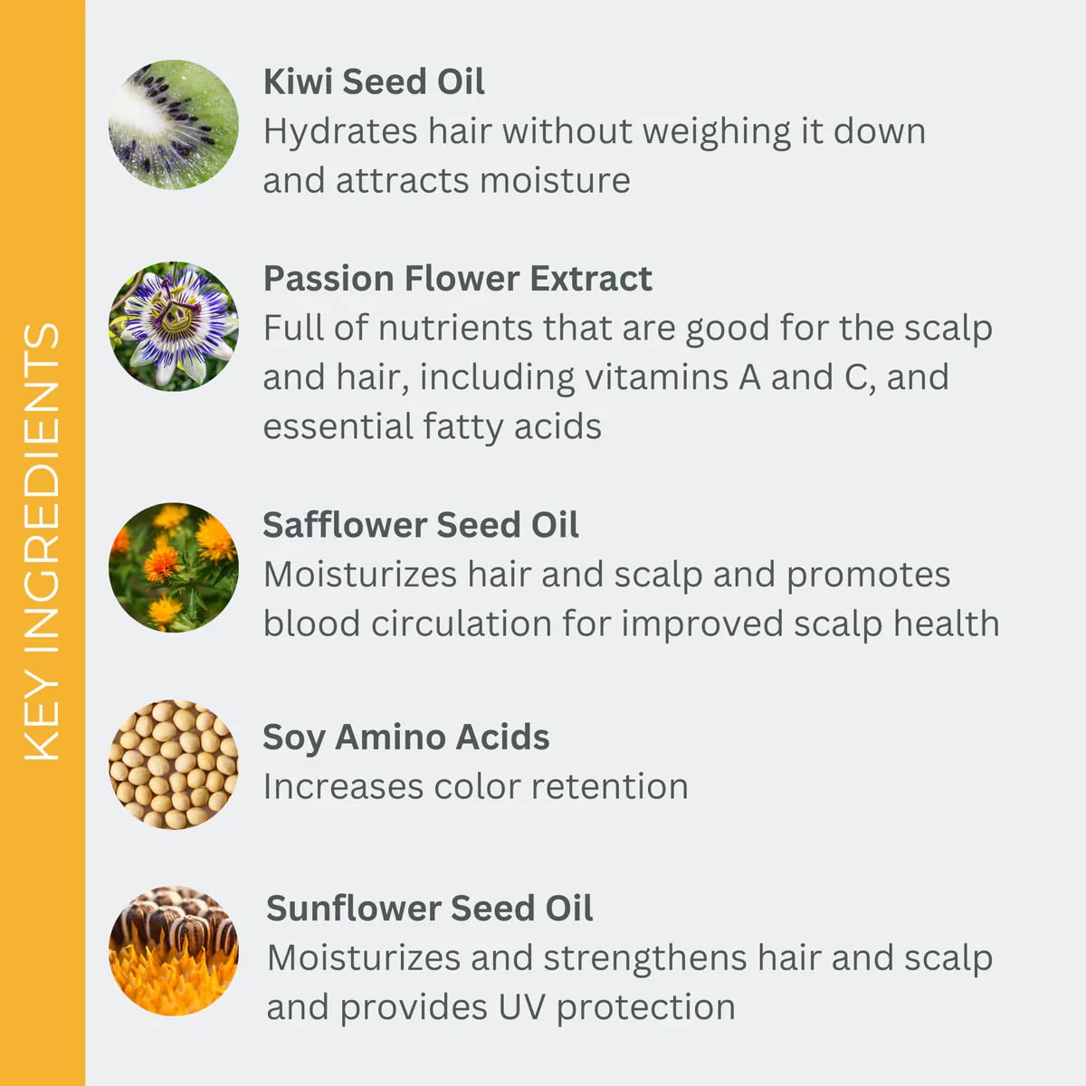 EVOLVh - Natural SmartColor Protecting Conditioner | Vegan, Non-Toxic, Clean Hair Care (8.5 fl oz | 250 mL) NEW PACKAGING