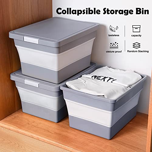 Beinilai Collapsible Storage Bins with lids,26 Qt Plastic Storage Bin Containers Tote Organizing with Secure Buckles,Suitable for Family Outdoor Multi-scene (Dark Gray)