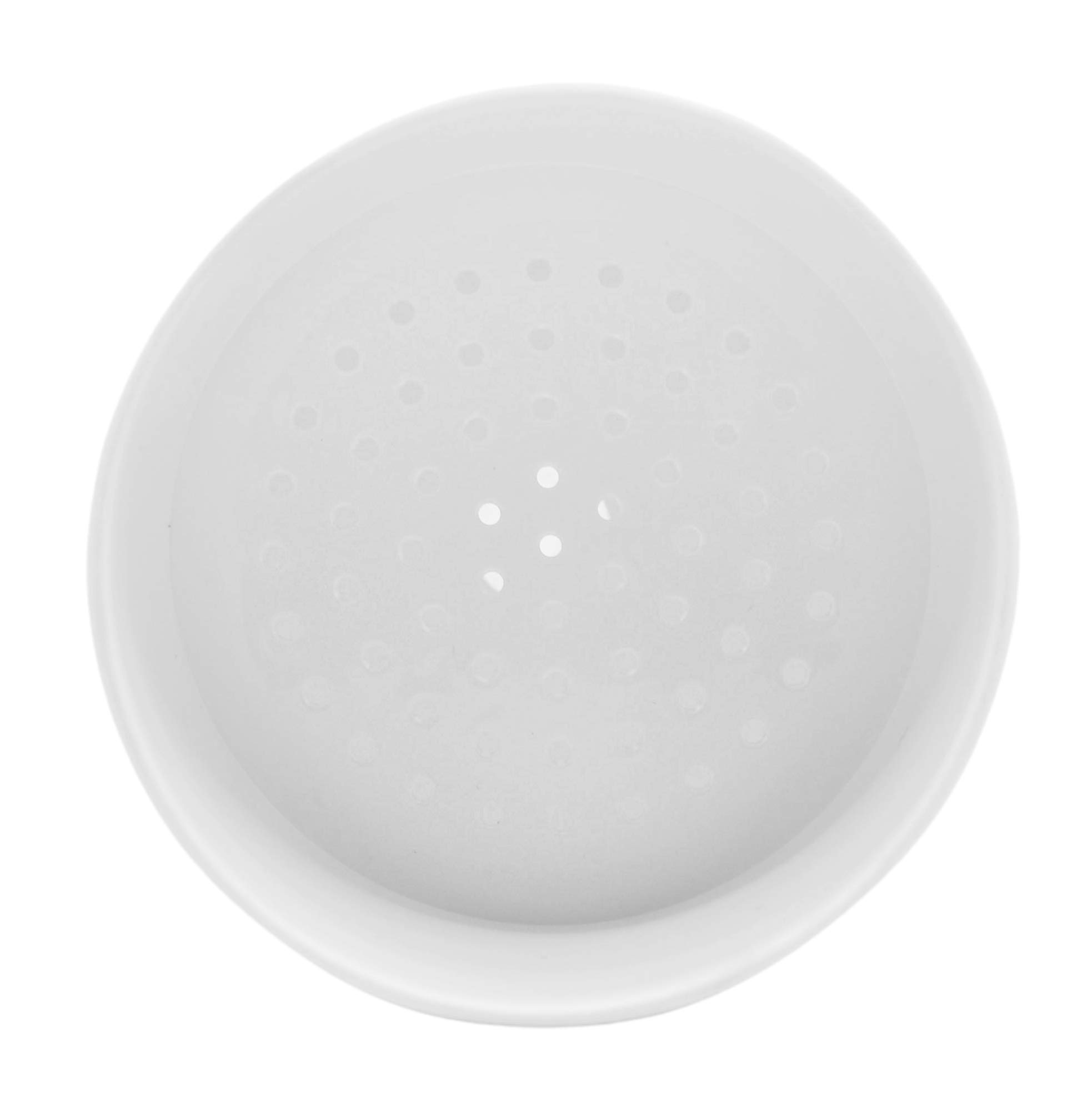 EISCO Buchner Funnel, 7.5cm - Polypropylene, 2 Parts - Designed for 5-6cm Filter Paper - Stem Length, 6cm - Lightweight, Autoclavable