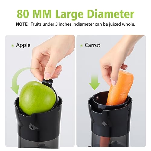 Aobosi Masticating Juicer Machine, 2-In-1 Cold Press Juicer with Large Feed Chute for Juice & Ice Cream, Powerful Slow Juicer for Vegetable and Fruit, Easy Clean Self Feeding (Blue)