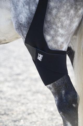 Ice Horse Pony Size Pair Stifle Wrap for Equine Therapy - Comes with 4 Ice Packs