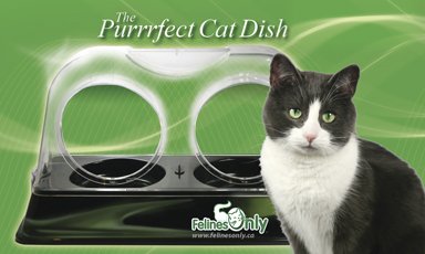Felines Only - the Purrrfect Cat Dish - Veterinarian Designed Cat Feeding Bowl that Keeps Dogs Out of the Cat Food
