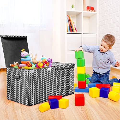 Extra-Large Toy Chest Box Bin Storage with Double Lid 30"x 16" x 16", Collapsible Sturdy Toy Storage Boxes Basket with Handles for Boys, Girls, Nursery, Playroom, Closet, Bedroom and Office(Black)