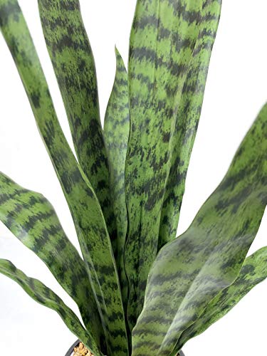 Bird Fiy Artificial Snake Plant 22" Faux Agave Fake Sansevieria Artificial Potted Plants for Indoor and Outdoor Home Office Décor (White Pot)