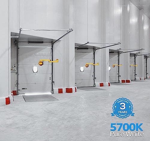 LEONLITE LED Loading Dock Light 50W, 45 Inch Double Swing Arm Dock Light, 360° Rotatable Light Head, 5700K IP65 Folding Double Arm Dock Lights for Trailers, Docks, Warehouses, Container, ETL Listed