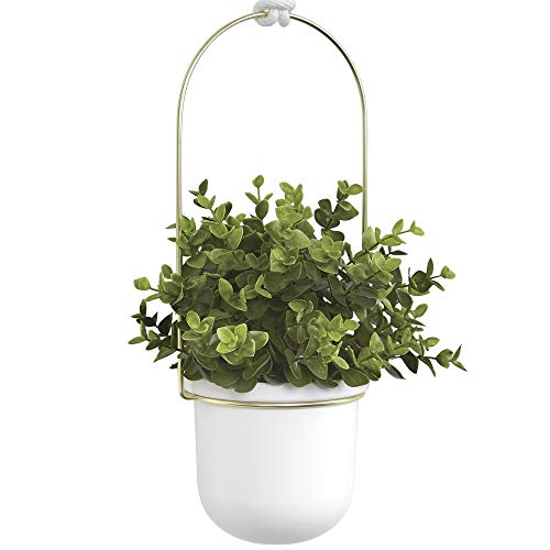 Umbra 1011748-524 Triflora Hanging Planters for Indoor Plants or Herbs, White/Brass,42" Width