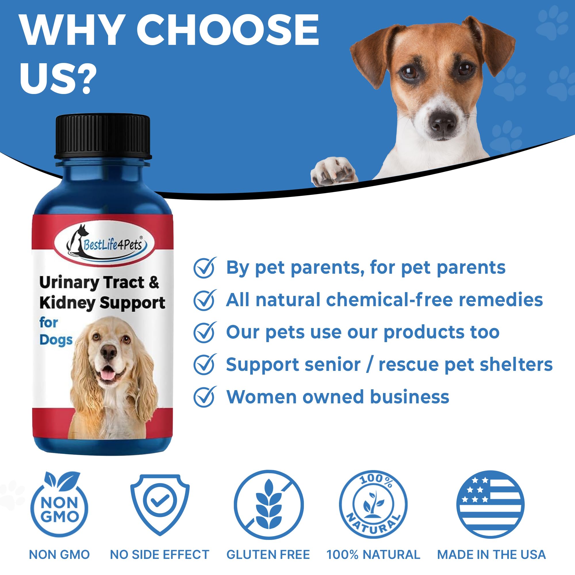 BestLife4Pets Dog UTI Kidney Support - Natural Urinary Tract Infection Treatment β Renal and Bladder Control Supplement β Easy to Use Pills (2 Pack)