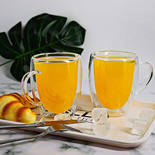 ALLYCE 15 Oz Double Walled Coffee Cups Glass Coffee Mugs Clear Coffee Mug with Lid Insulated Coffee Mug Perfect for Cappuccino,Tea,milk,Espresso,juice, Hot Beverage with Handle (15oz, with glass lid)