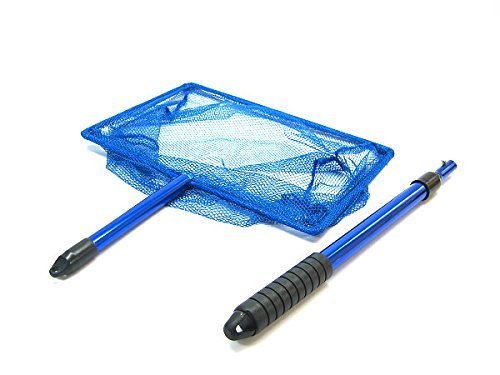 CORISRX BEST OF YOUR LIFESTYLE 12"x 8" Koi Adjustable Fish NET Handle 30~54cm Aluminum Fishing Pond Tank Blue