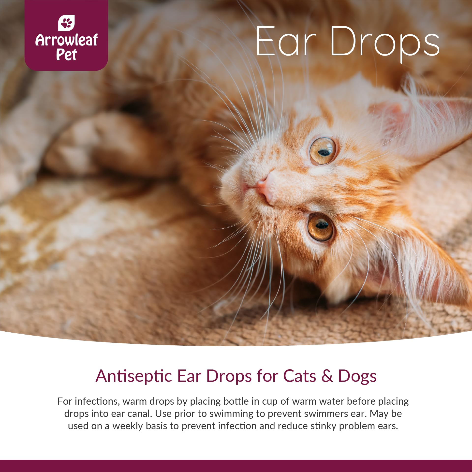 Arrowleaf Pet Ear Drops by NaturPet Inc | Healthy Ear Support for Cats and Dogs | Itchy Ears | Cleaning | Swimming | 10mL