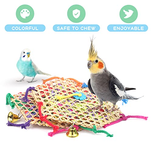 AK KYC Bird Parrot Toys,2 Pack Bird Hanging Foraging Shredder Toys for Small Medium Small Bird Conure Cockatiel Parrotlet Lovebird Budgie