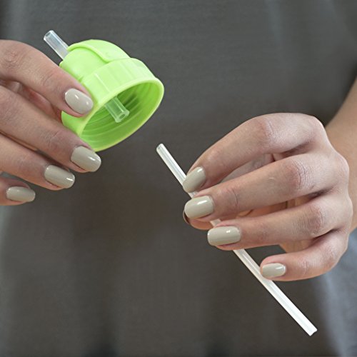 green sprouts Straw Bottle | Silicone straw promotes healthy oral development | Flip-cap locks to prevent spills, 2 straw drinking options: traditional & tilted, Dishwasher safe