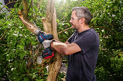 Bosch Professional 260925C111 2 TLG. Säbelsägeblatt (für Holz, Zubehör Säbelsäge) 2-Piece Set. Reciprocating Blade (Wood, Accessories Sabre Saw)