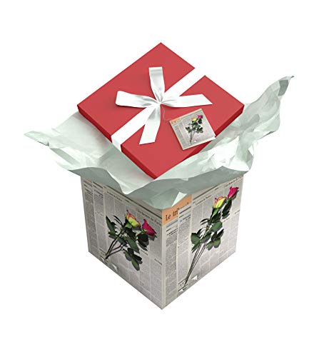 Gift Box 10"X10"X10" - Les Roses Collection - Easy to Assemble & Reusable - No Glue Required - Ribbon, Tissue Paper, and Gift Tag Included - EZ Gift Box by Endless Art US
