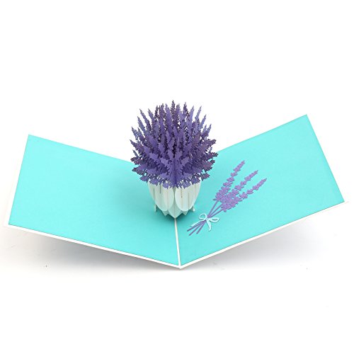 Liif Lavender Blooms Pop Up Card, 3D Flower Greeting Card, Pop Up Card for All Occasions, Birthday, Mother's Day, Anniversary, Wedding, Congratulations, Get Well Card, Handmade Gift